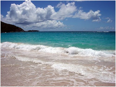 C-リスト= The Cee List: Mustique Island/Macaroni Beach