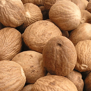 Zheng He the Traveler