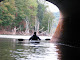The Dragonfly Cruises: Perception Rhythm 11 Kayak