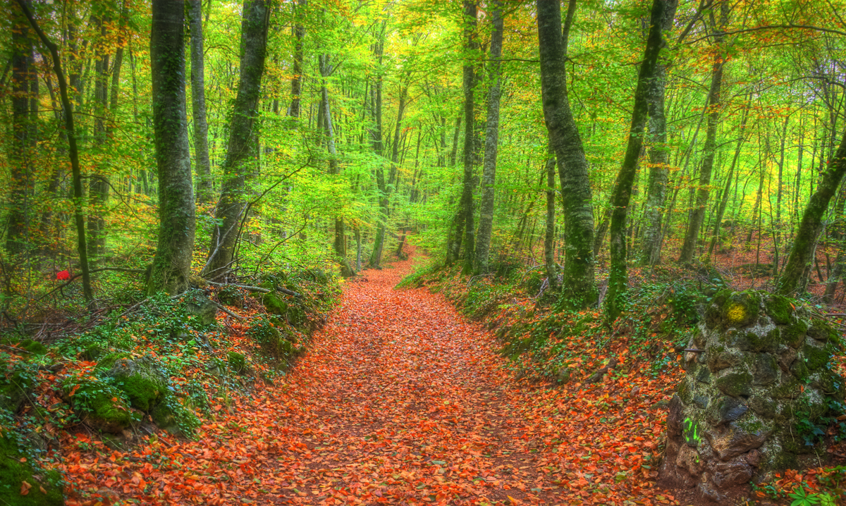 PUEBLOS CON ENCANTO: La Fageda d'en Jordan / Garrotxa
