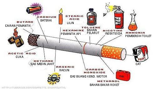* PLEASE LOOK *: Composition and Hazards of Cigarettes