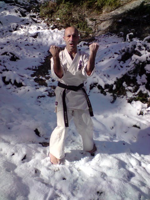 CENTRO ORIENTAL WASHI C. D. KAN ALCOY: LAS 20 REGLAS DEL KARATE