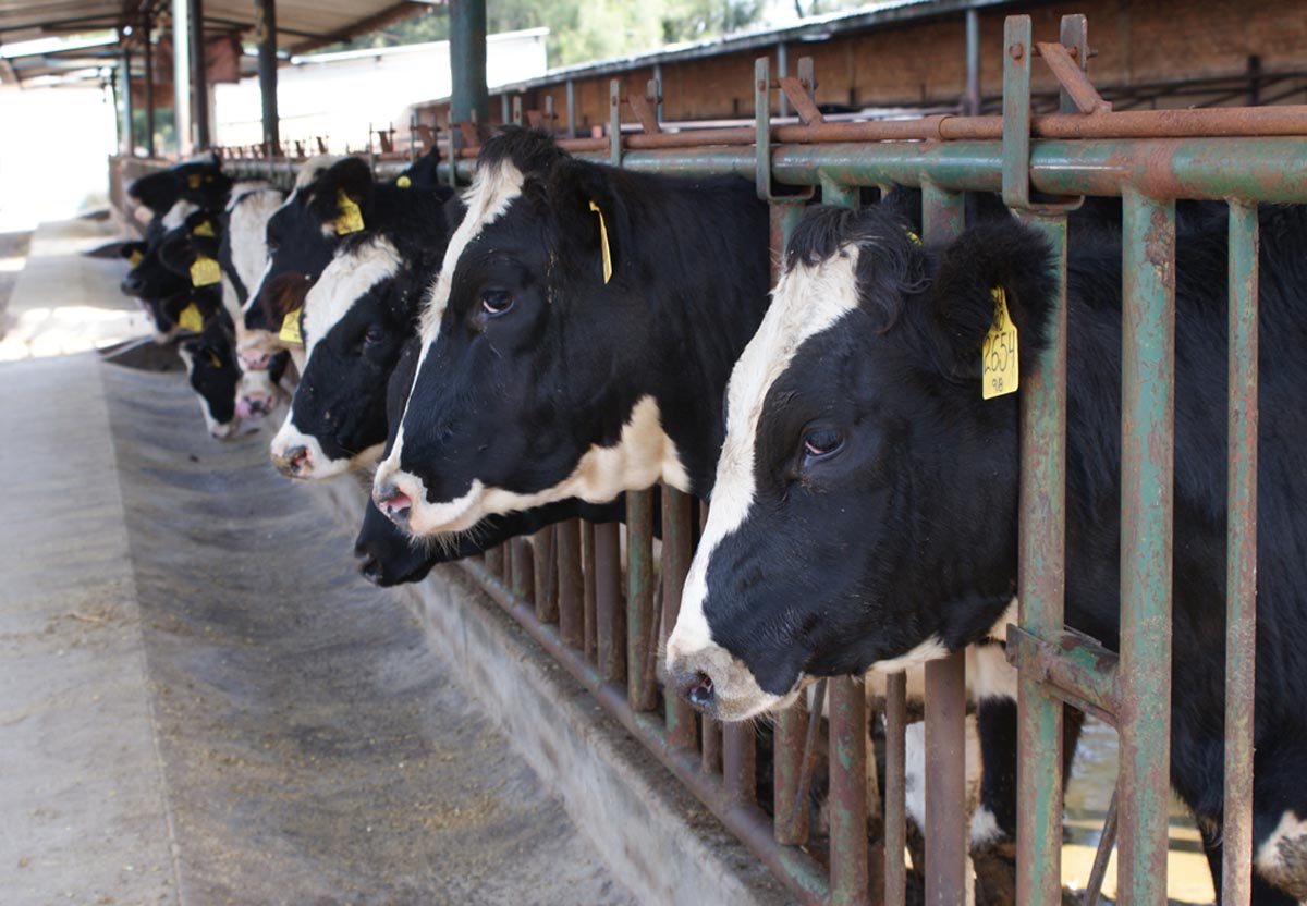 Comunicación Social del Gobierno de Jalisco: SEDER y SAGARPA apoyarán ...