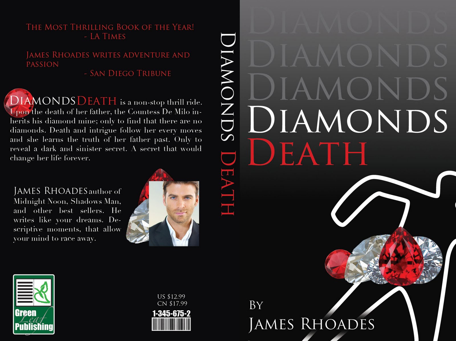 Portfolio of Evan Fife: Book Cover 2