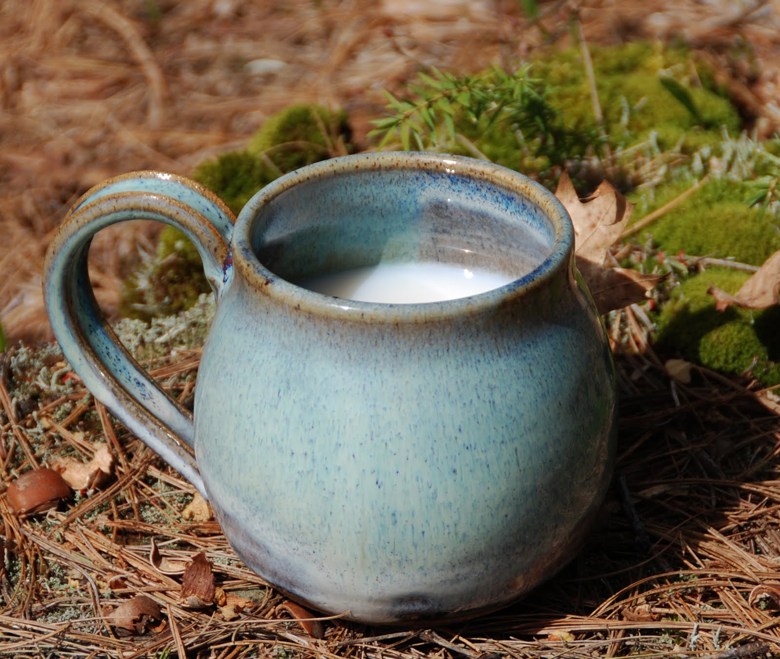 The View from Steve's camera: Making stuff