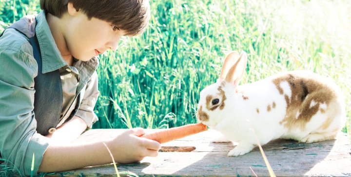 Ethereal Kids / Niños Etereos - Jenny Lopez