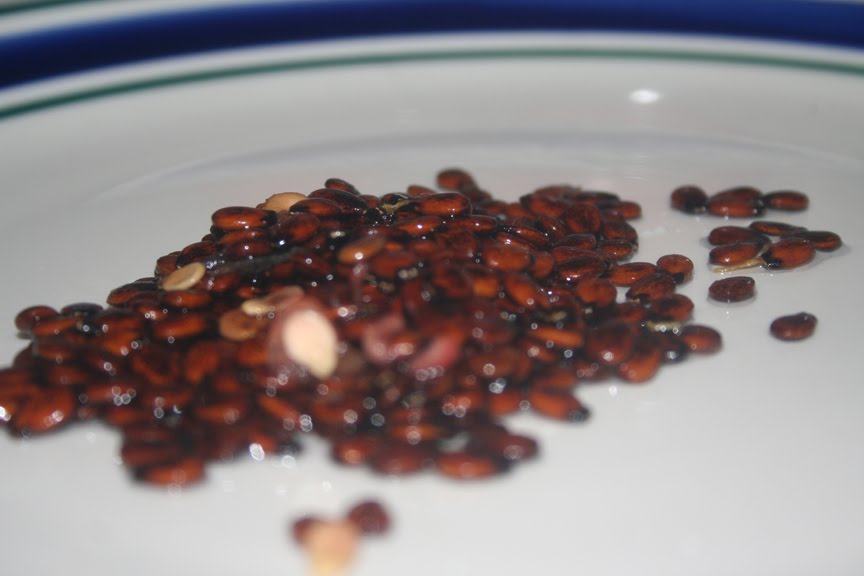 (Mis)Adventures With Food: Toasted Watermelon Seeds