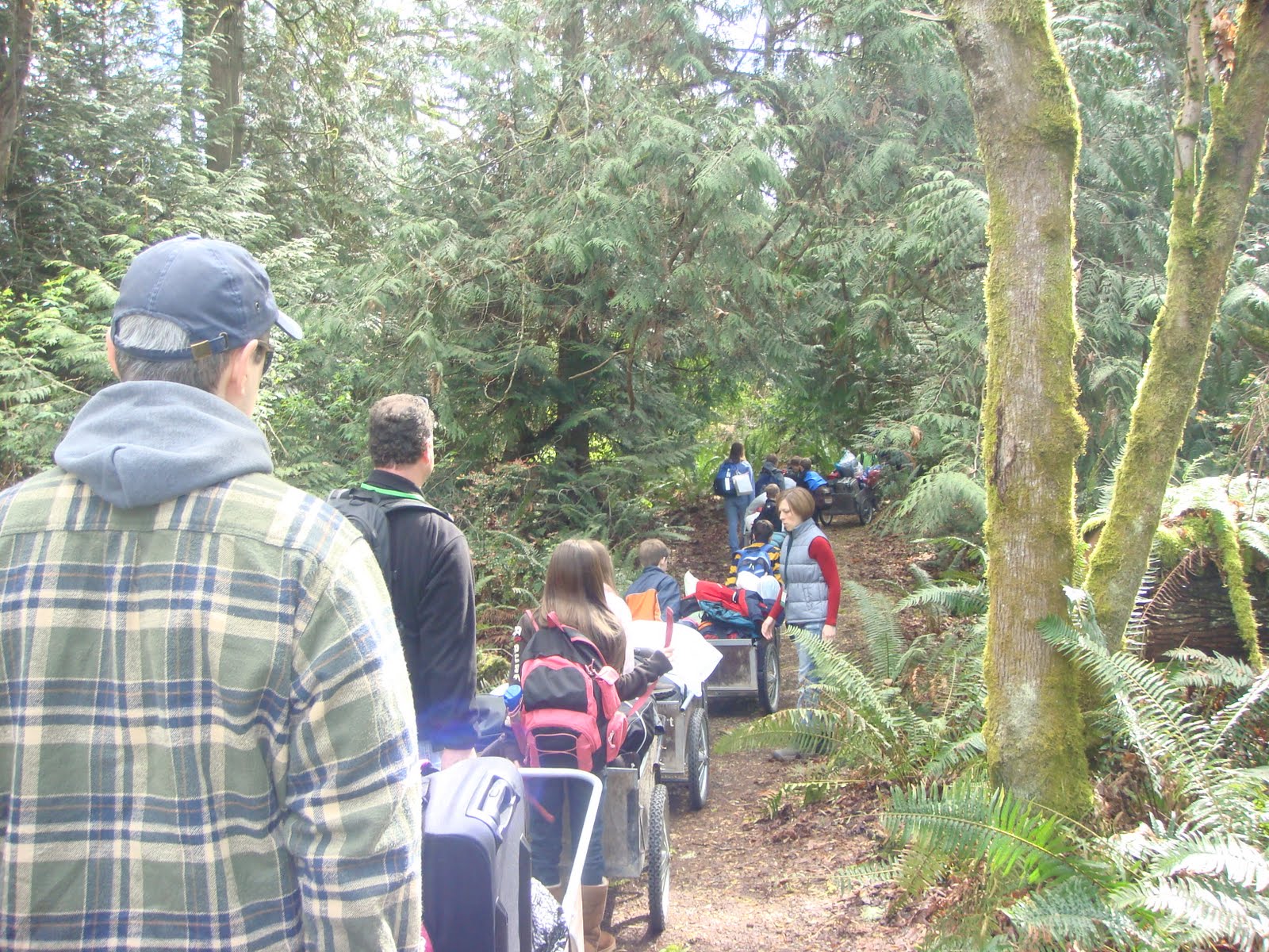 Silverwood Tree House: Islandwood 2010