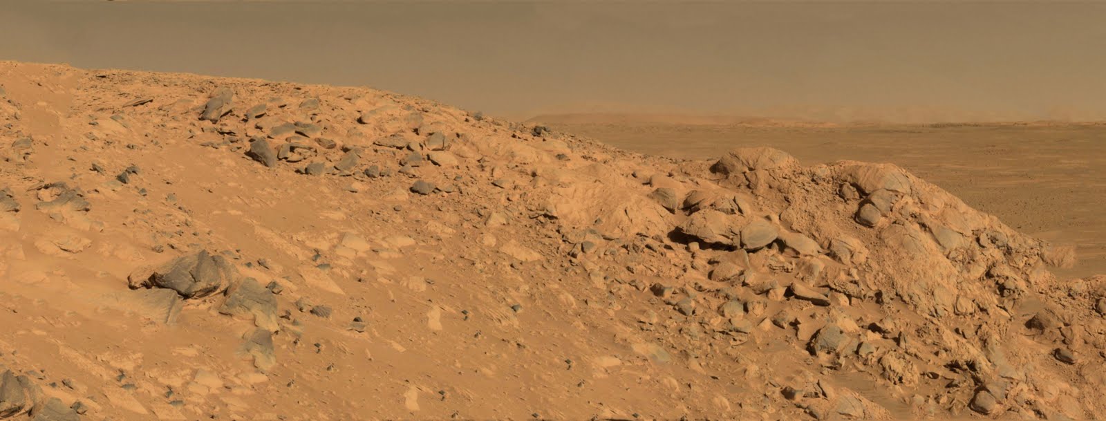 In The Name Of Science Image Error Level Analysis