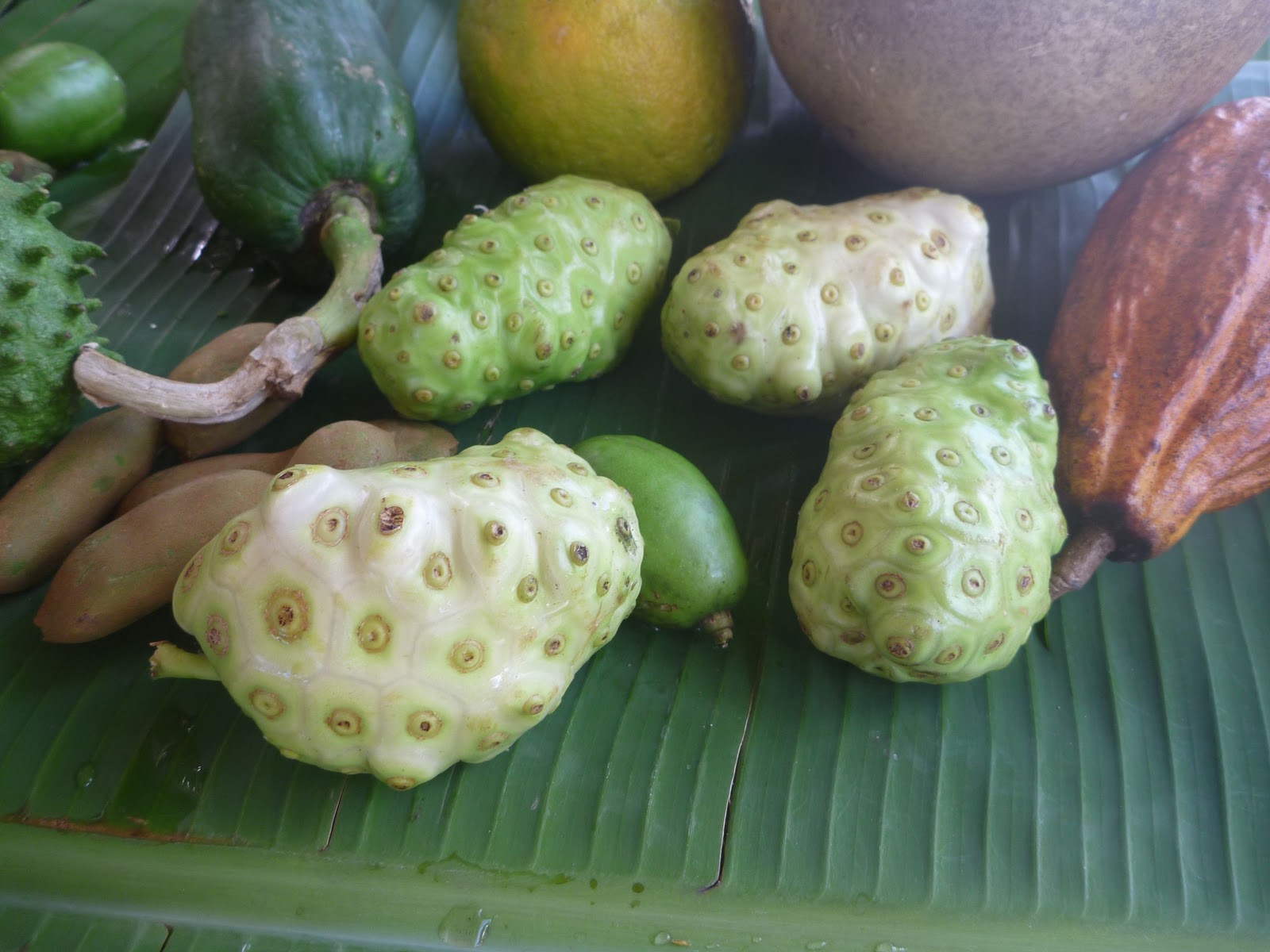 Martine, Christian et Gatun sur Tahaa-Tiva: Sainte Lucie