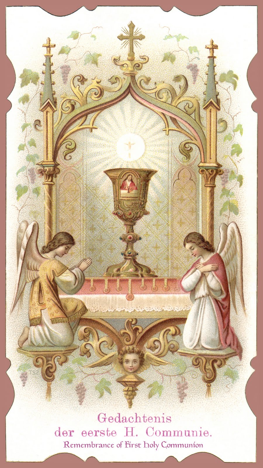 Tocando o céu: Primeira Comunhão!