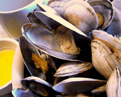Grilling and Gourmet Cooking: "Steamers" Steamed Soft Shell Clams
