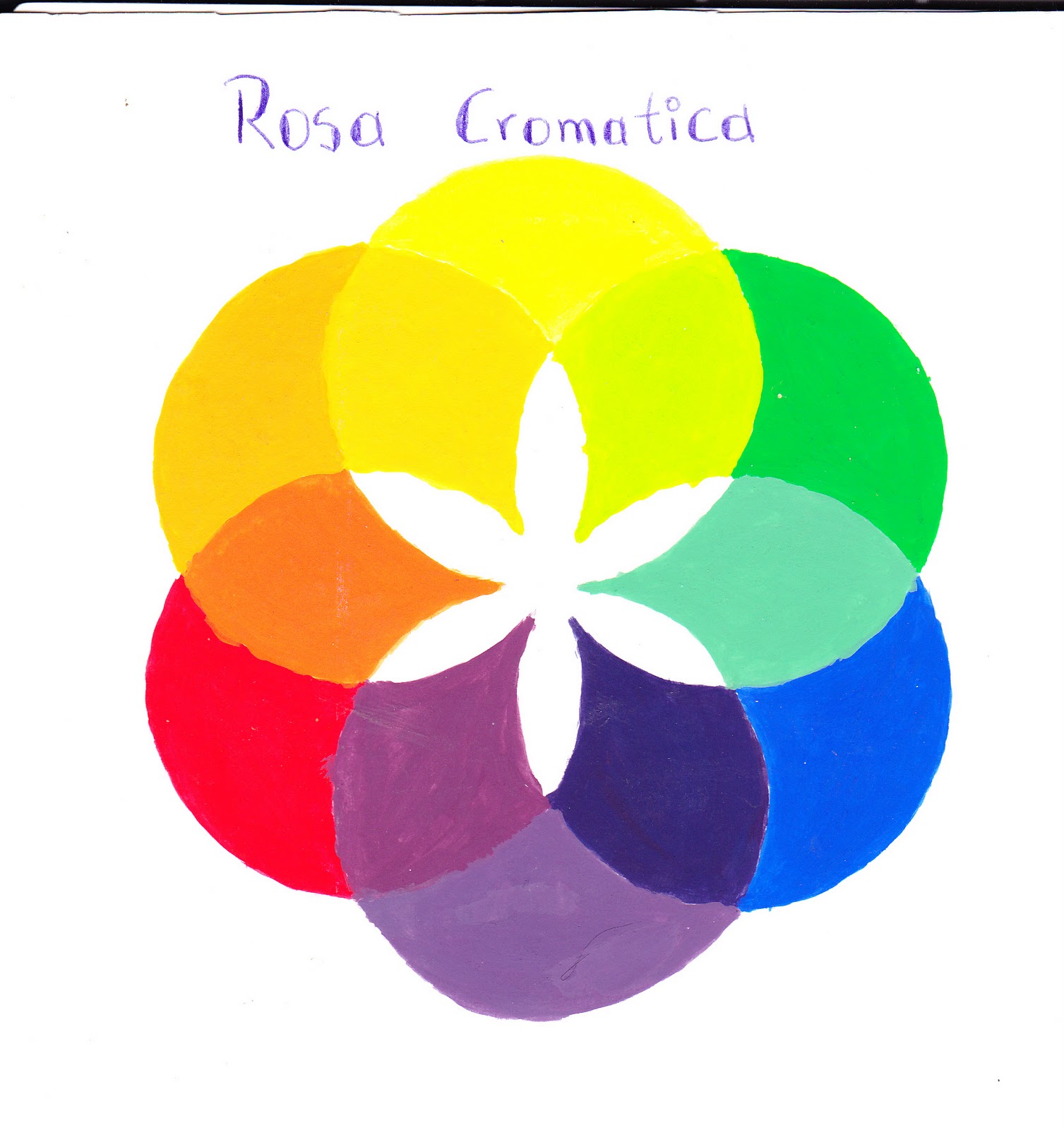 Rosa cromatica y sus colores - Imagui