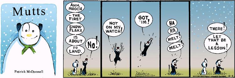 appreciating the details: Winter with Mutts