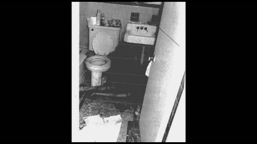 The Ultimate Negative: Who Killed Nancy? (2009)