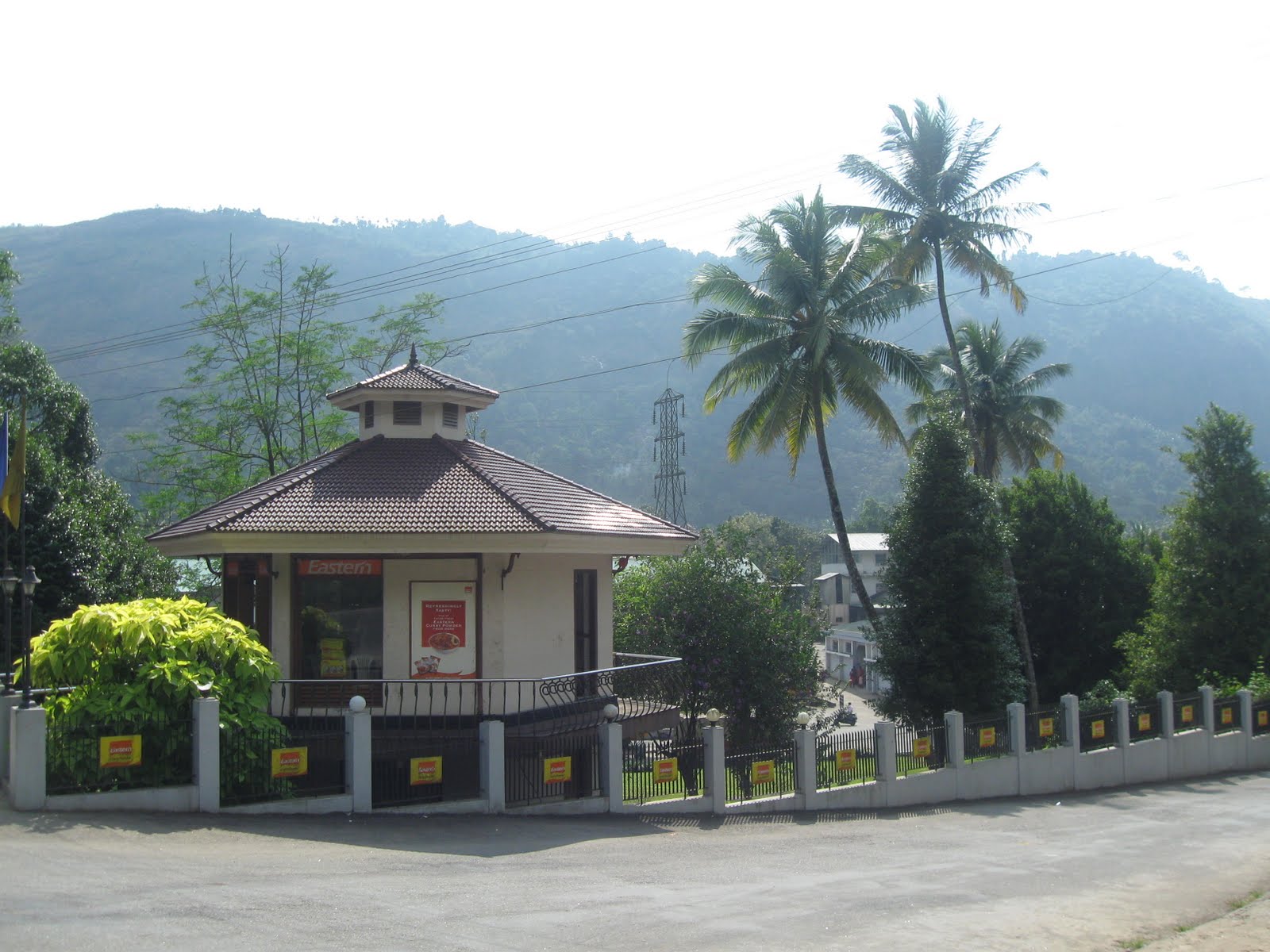 MY STILLS: 01/12/10 - 01/01/11