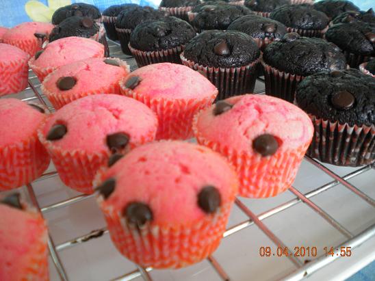Suhaila Lat Tart & Cake: Harga Muffin