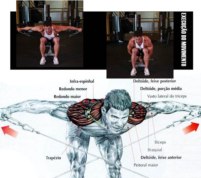 Os Melhores Exercícios para Ombros ~ Boa Forma Fitness