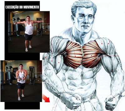 Cruxifixo em pé com polia (CrossOver) ~ Boa Forma Fitness