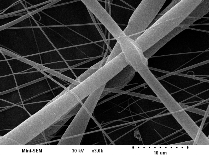 SEC - Scanning Electron Microscope: Nano Fiber Image - SEC Mini-SEM