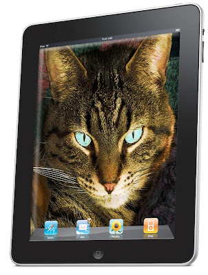 EMO's World: Download Emo iPad Wallpaper