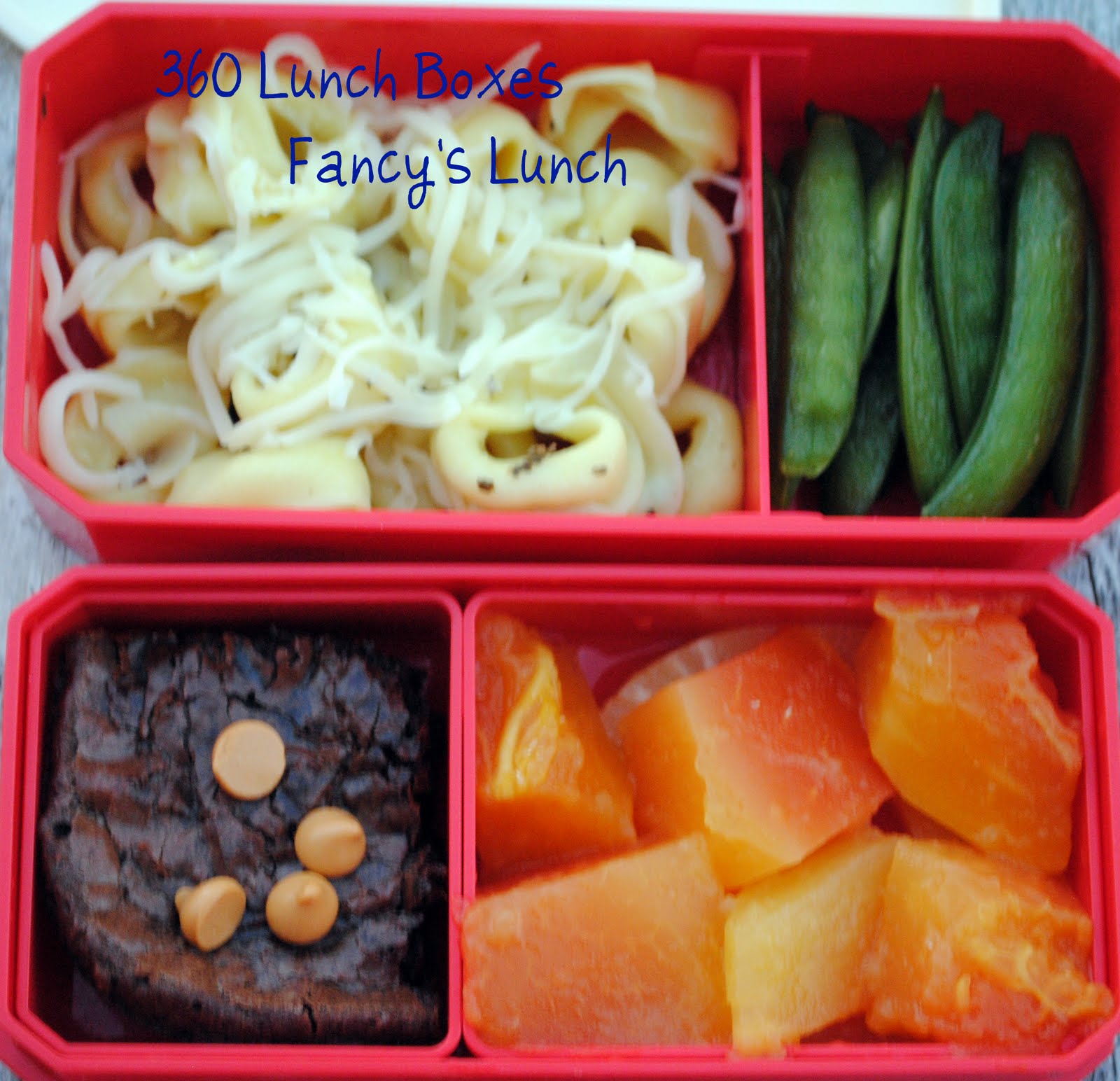 360 Lunch Boxes: Lunches for Tuesday