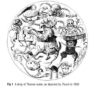 Disease Ecology: American miasma