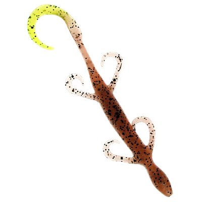 Caudal luring in snakes - Field Herp Forum