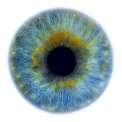 Human eye color chart