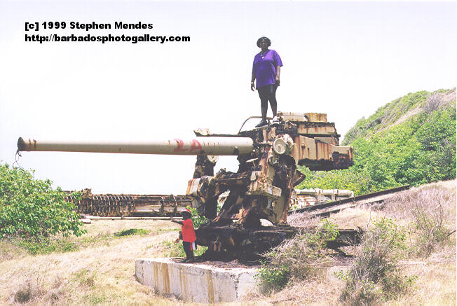 Dr. Gerald Bull - ED 4621: Career