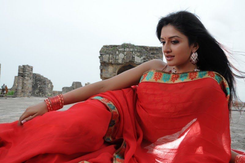 Bollywood HOT Wallpapers: South Actress Vimala Raman Hot in Saree