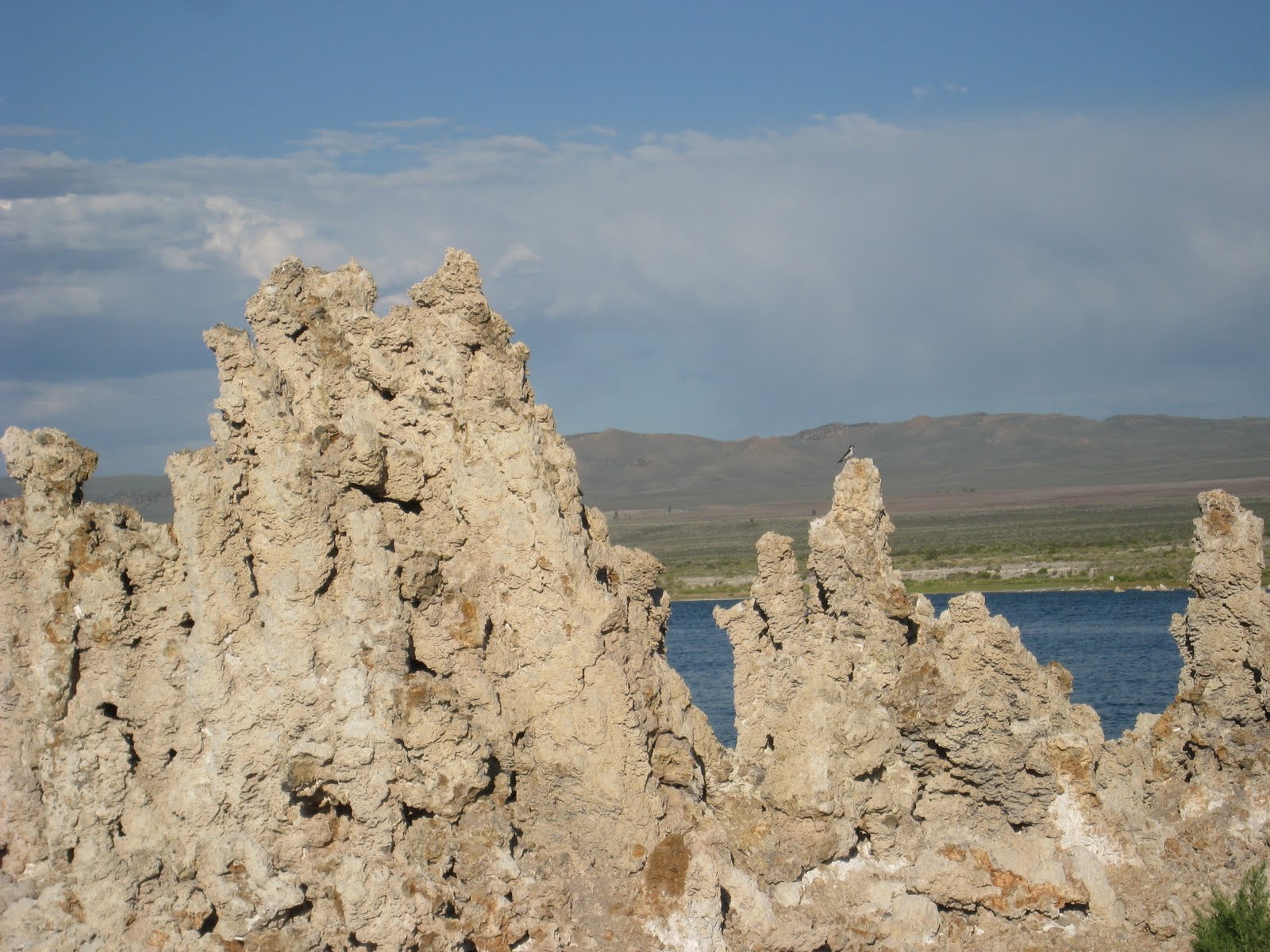 Amor and Amoret: Mono Lake Tufa Tour