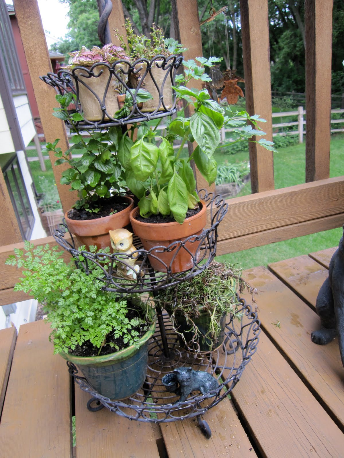 The Lazy Peacock: Thrift Store Garden