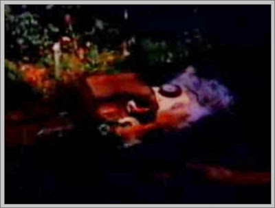 Jeep-Jitsu CJ-6: Future course for my CJ6 restoration