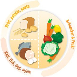 Hälsa, kost & motion: Tallriksmodellen och matpyramiden, något att gå ...