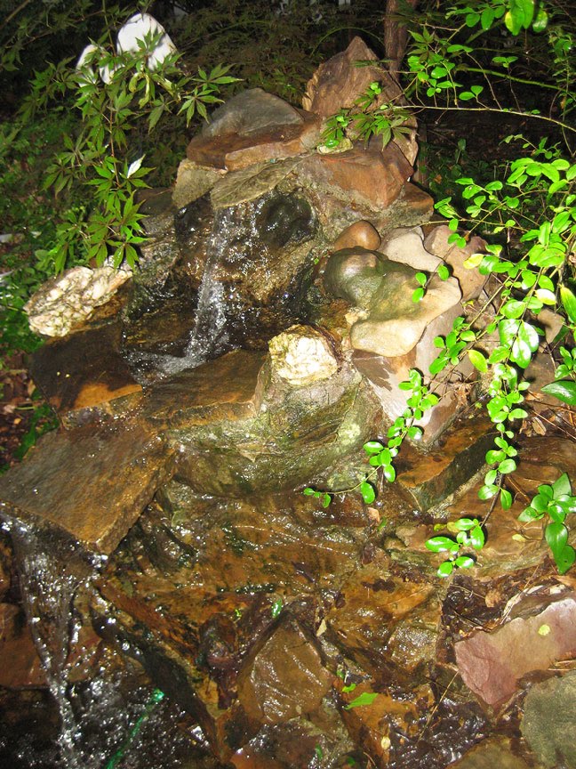 Thursday's Child: Hypertufa Workshop