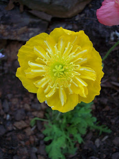 LBP Sews: April 2008