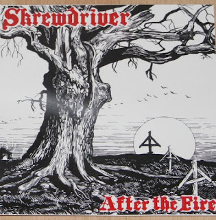 Punk Albums Archive: Skrewdriver - After The Fire