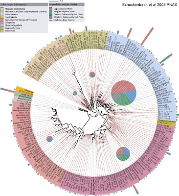 Skeptic Wonder: 01.2010