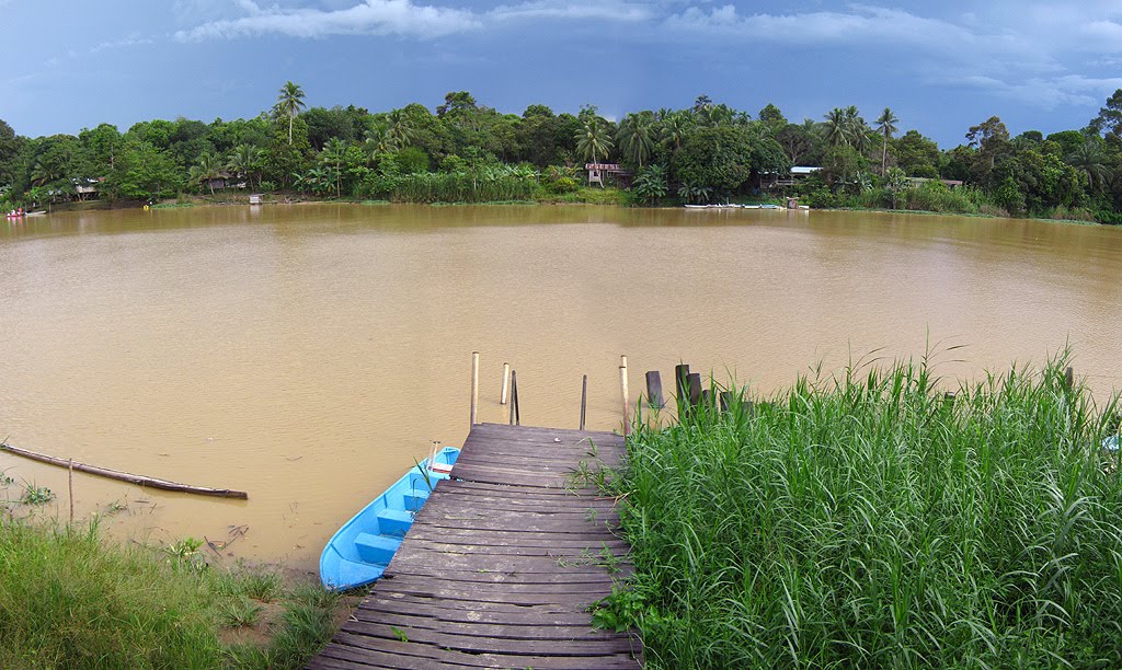 Exploring the Endangered Wonders: Charming Kinabatangan River