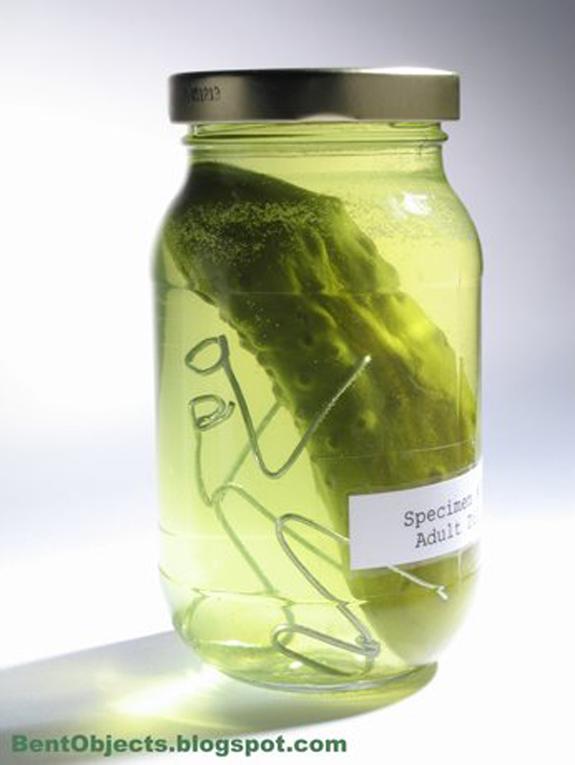 The Awesome Art Of Terry Border!