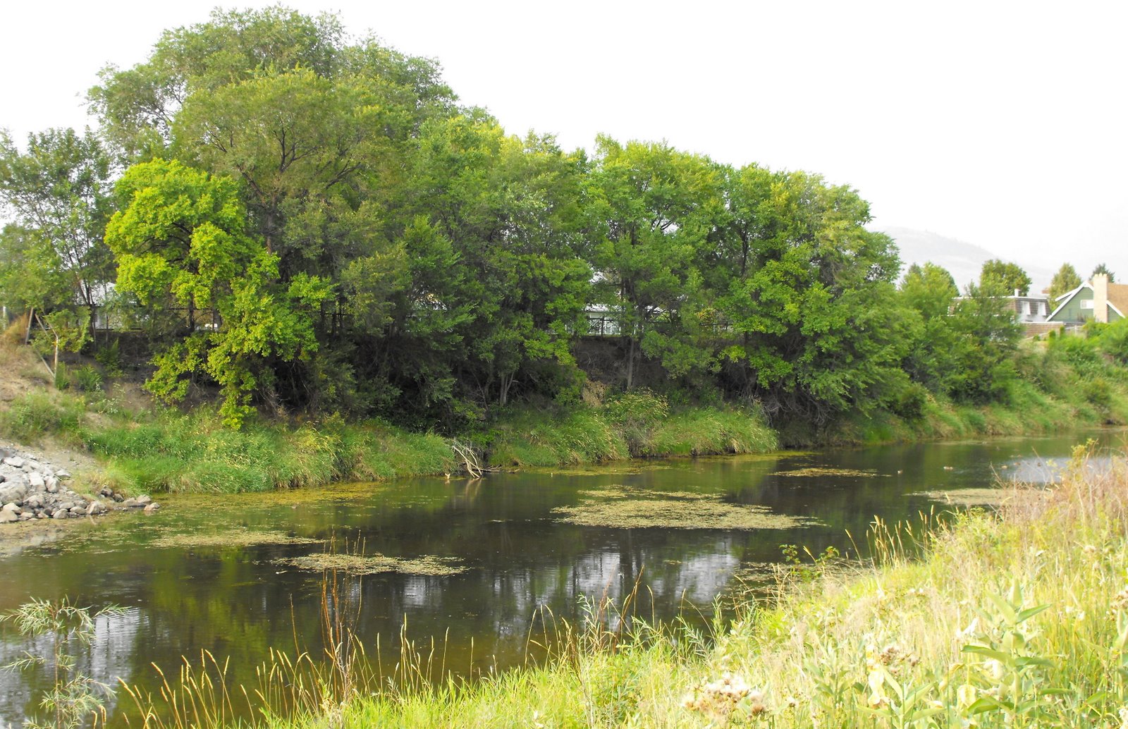 we-love-kamloops: The Gregson Butterfly Garden ~ McArthur Island ...