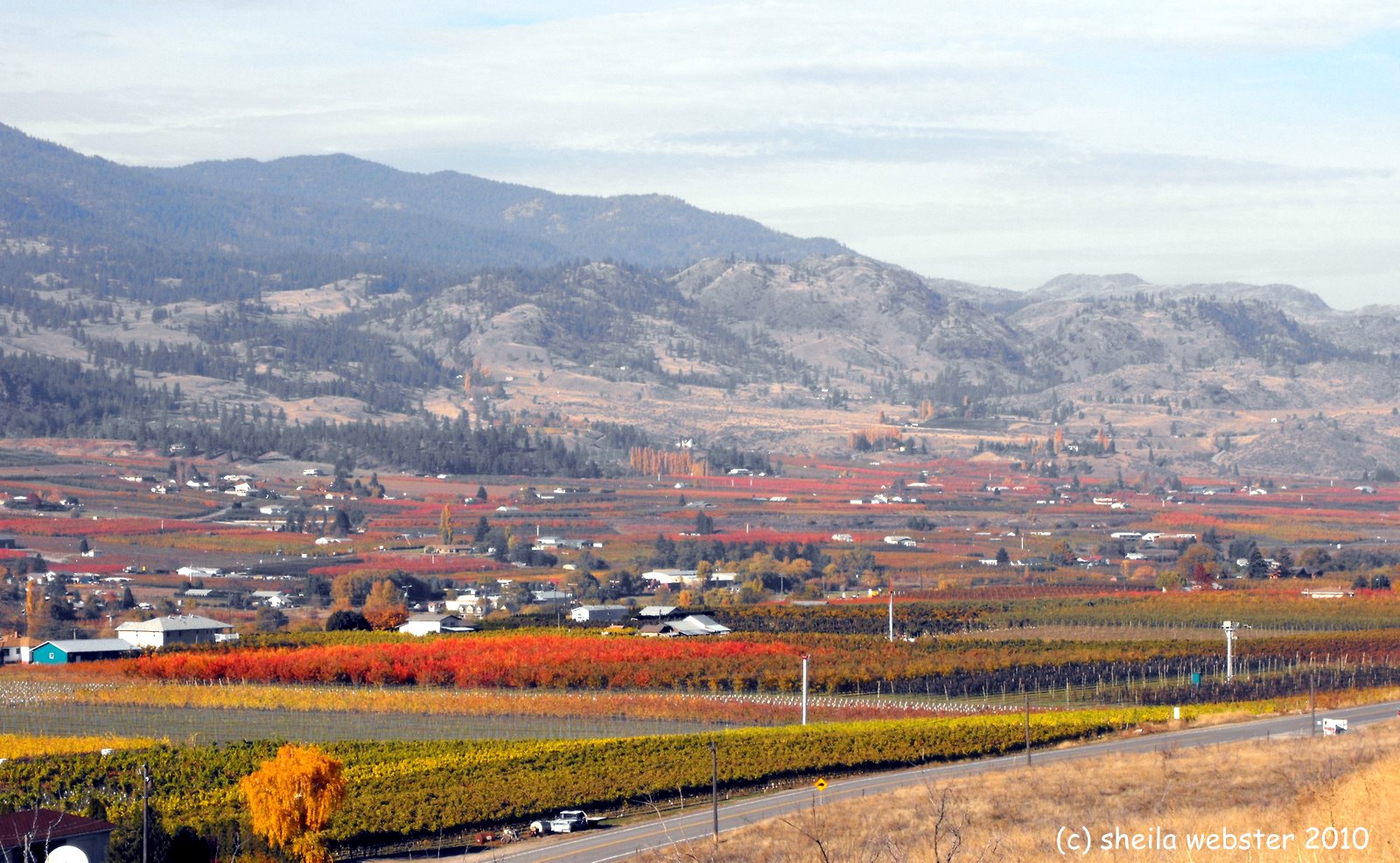 We Love RV'ing: Oliver, BC ~ Okanagan Valley ~ Orchards ~ Autumn Colors
