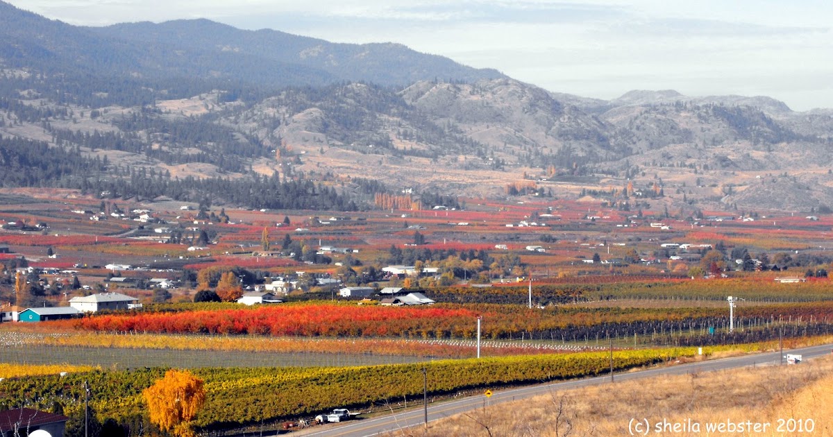 We Love RV'ing: Oliver, BC ~ Okanagan Valley ~ Orchards ~ Autumn Colors