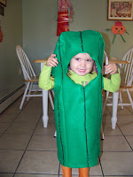 Amy DesRobert's Creations: Custom Order Pickle Costume!