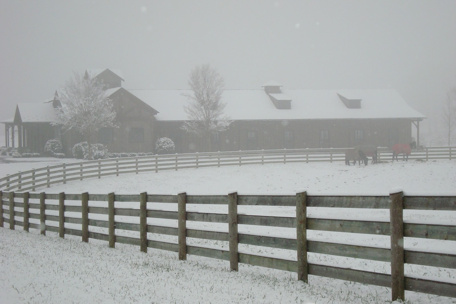 Sally Run: Equestrian Facilities