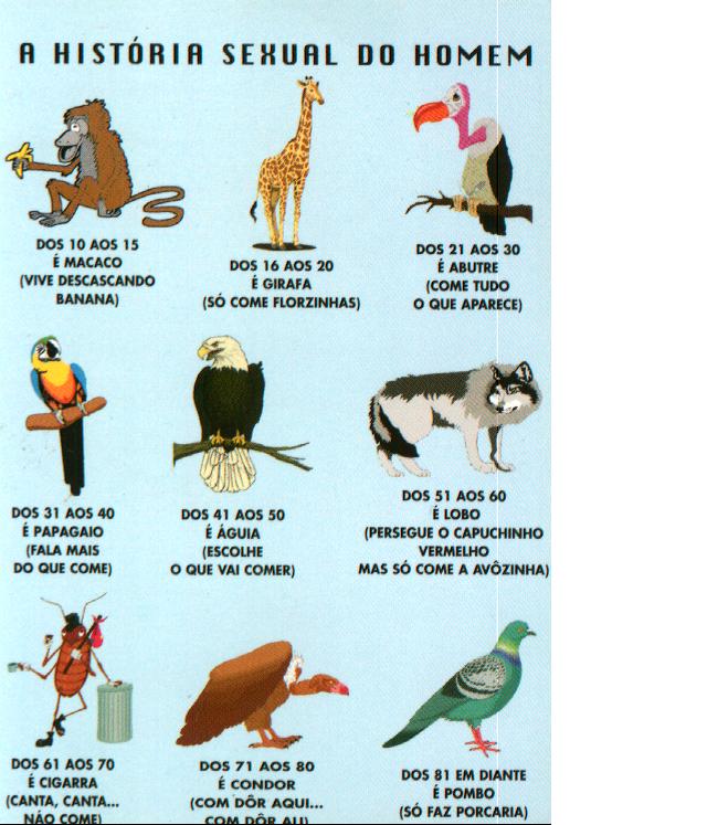 FOXVIDEOLOCADORA: A IDADE DO HOMEM EM VARIAS ETAPAS