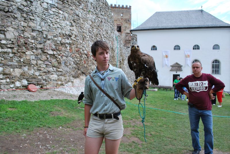 Boys in short shorts: Fit scout in fitting shorts and bird of prey