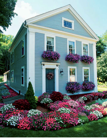 Friday Flowers-Window Dressing