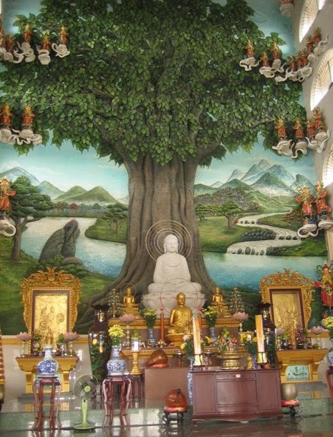Destination Saigon: The Bodhi Tree